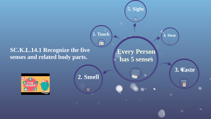 SC.K.L.14.1 Recognize the five senses and related body parts by Anna ...