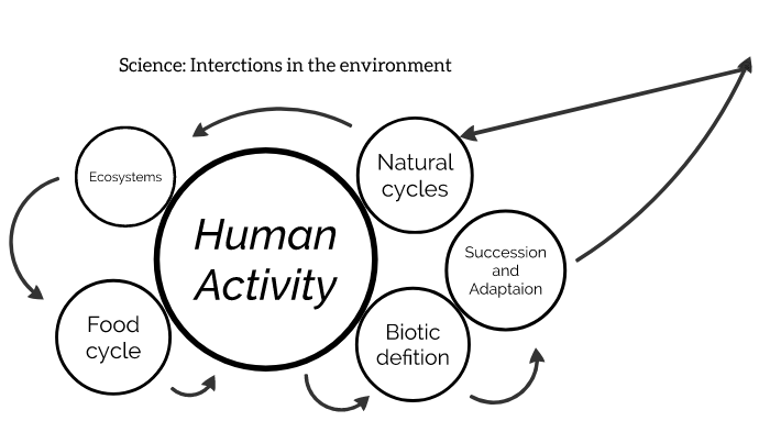 Science: Interactions in the environment by Edward Gotts on Prezi