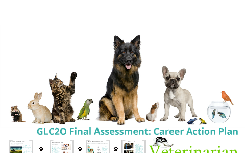 GLC2O Final Assessment: Career Action Plan by emily conlin on Prezi