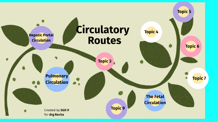 Circulatory Routes by wafiq aziz on Prezi