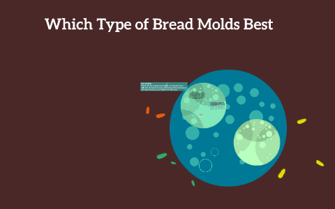 Which Type of Bread Molds Best? by Emma Fliegel on Prezi