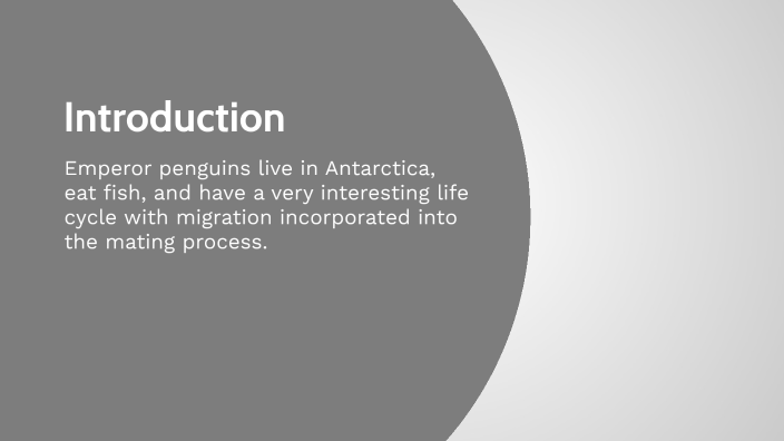 Emperor penguin life cycle by William Fishback on Prezi