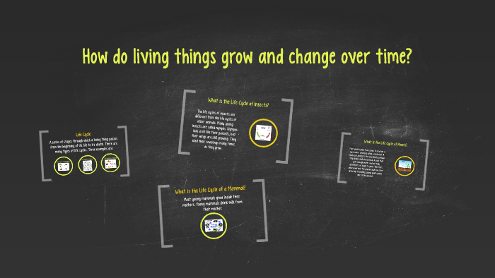 How do living things grow and change over time? by Ashley Howard on Prezi