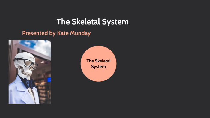 The Skeletal System by Kate Munday on Prezi