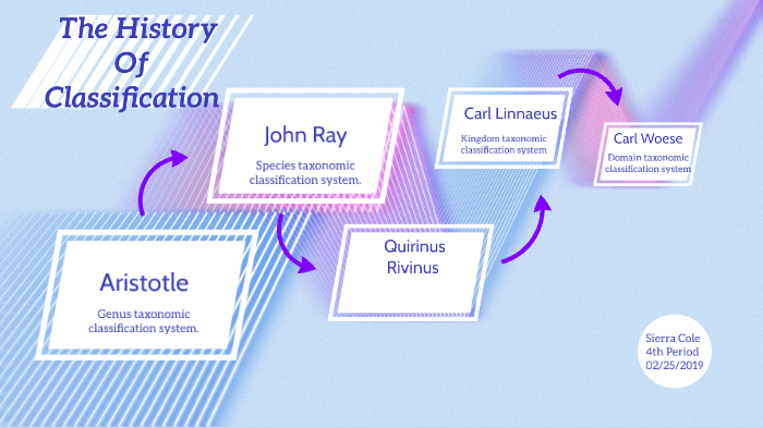 The History Of Classification by Sierra Cole on Prezi