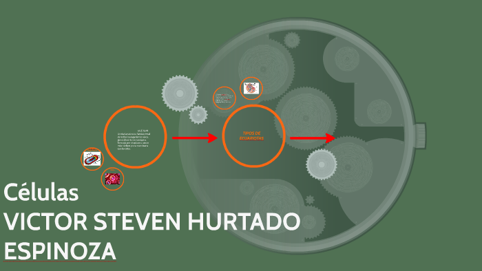 Celulas by steven hurtado on Prezi