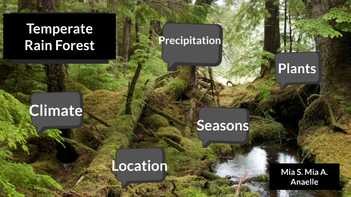 Temperate Rain Forest Biome by Rola Salloum on Prezi
