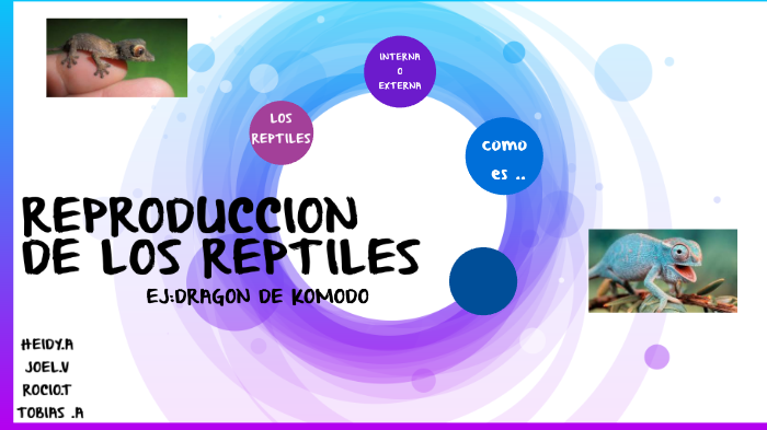 REPRODUCCIÓN DE LOS REPTILES by Heidy Abellán on Prezi