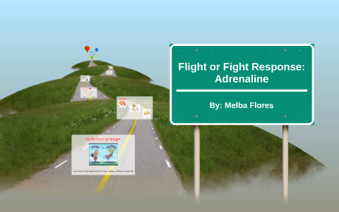 Flight or Fight Response: Adrenaline by Melba Flores on Prezi