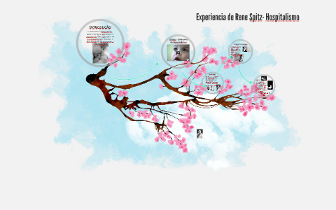 Experiencia de Rene Spitz- Hospitalismo by on Prezi