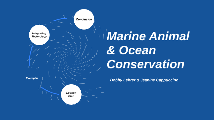 Marine Conservation Lesson by Jeanine Cappuccino on Prezi