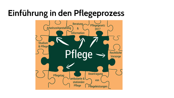 Einführung in den Pflegeprozess by Kai Biermann on Prezi