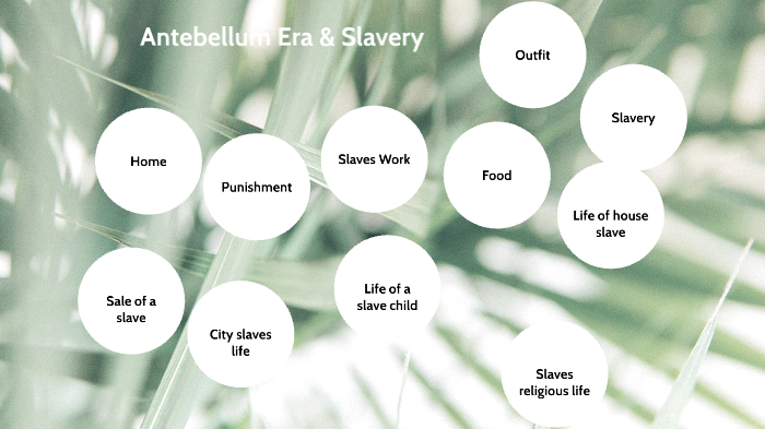 Trinity H 3rd Antebellum and Slavery by Theresa Runyon on Prezi