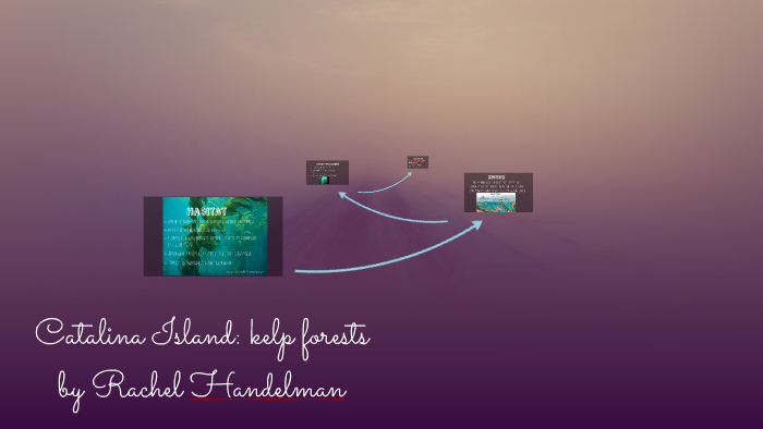 Catalina Island: open ocean by Rachel Handelman on Prezi