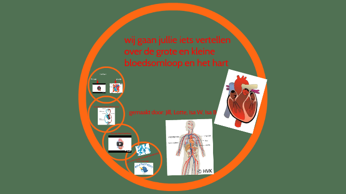 hier is een filmpje van de werking van het hart by on Prezi