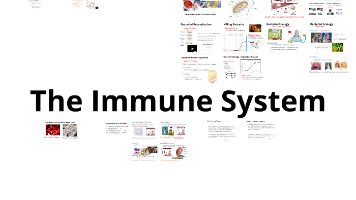Viruses, Bacteria, Immune System by Eric Friberg on Prezi