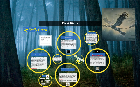 First Birds by Emily Croes