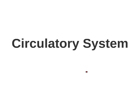Circulatory System by Ayden Duffy on Prezi