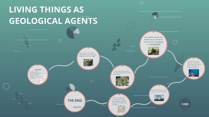 LIVING THINGS AS GEOLOGICAL AGENTS by Est@nis Rey on Prezi
