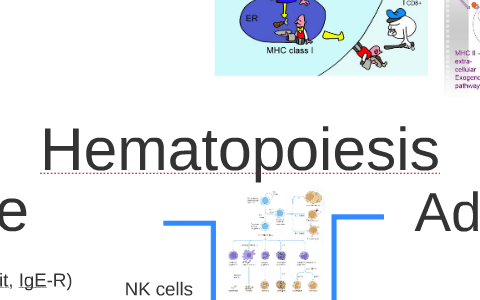 Immunology by David Gondek on Prezi