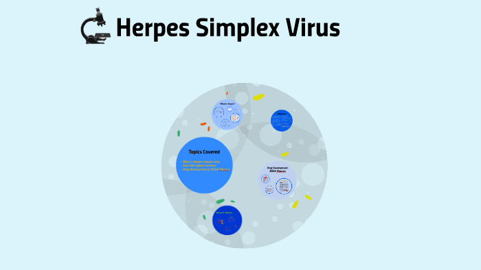 Herpes Simplex Drug by Paola Fernandez on Prezi