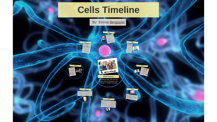 Cells Timeline by Emma Bergquist on Prezi