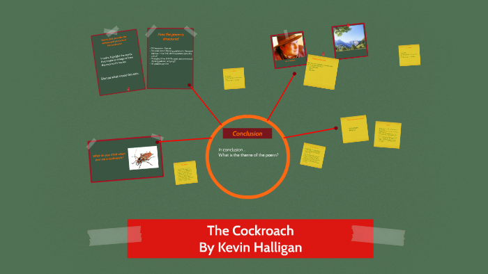 The Cockroach By Kevin Halligan by Alessandra Schianchi on Prezi