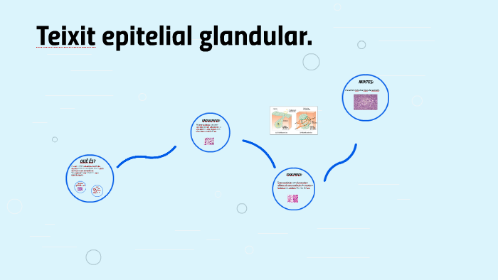 Teixit epitelial glandular. by s s on Prezi