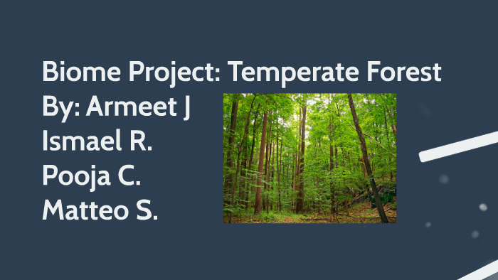 Biome Project: Temperate Forest by Armeet Jatyani on Prezi