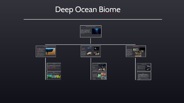Deep Ocean Biome by Tiffany Mason on Prezi