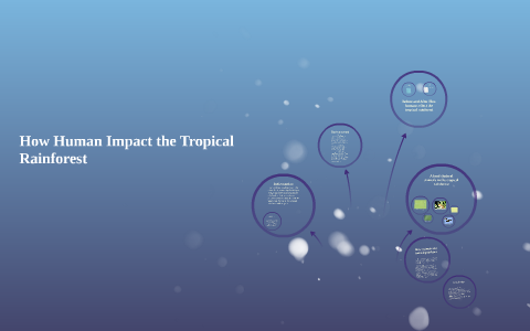 How Human Impact the Tropical Rainforest by Yash Agarwal on Prezi