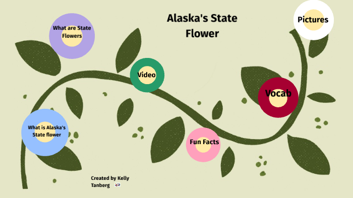 Alaska's State Flower by Kelly Tanberg on Prezi