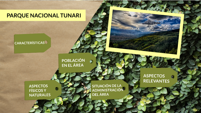 PARQUE NACIONAL TUNARI by Cristal Rosario Caceres Quispe on Prezi
