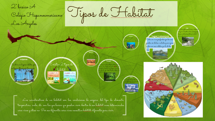 Tipos de Habitat by mariela ortiz reveco on Prezi