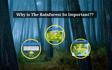Why is The Rainforest so important by Angie Sutanto on Prezi