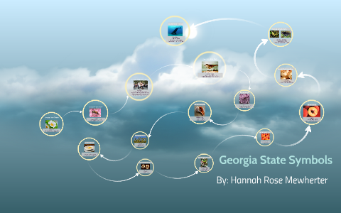 Georgia State Symbols by Hannah Rose Mewherter