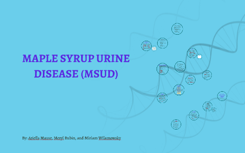MAPLE SYRUP URINE DISEASE (MSUD) by Meryl Rubin on Prezi