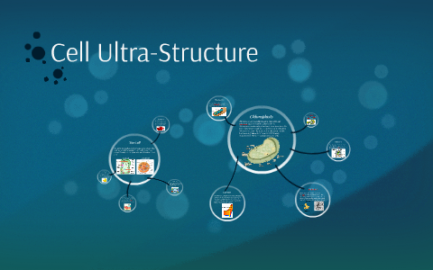Cell Ultra-Structure by Jayan Chander on Prezi