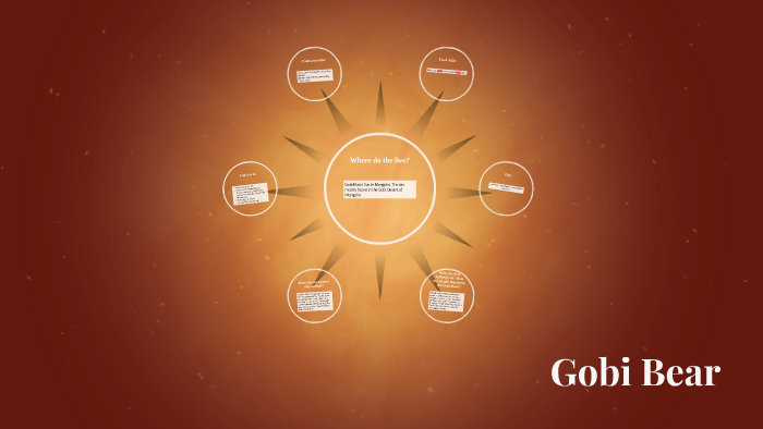 Gobi Bears by Chey Jans on Prezi