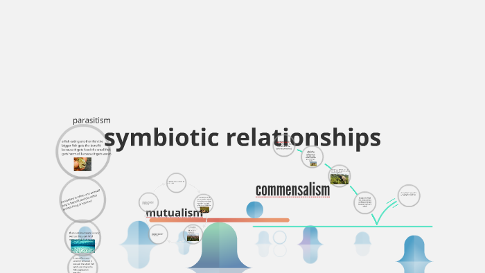 symbiotic relationships by maggie doherty