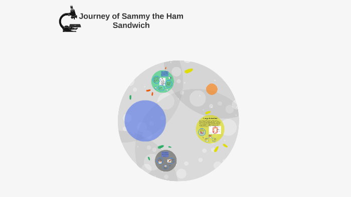 Sammy the Ham Sandwich by Tony Stark on Prezi