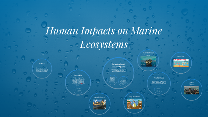 Human Impacts on Marine Ecosystems by Laura Gartman on Prezi