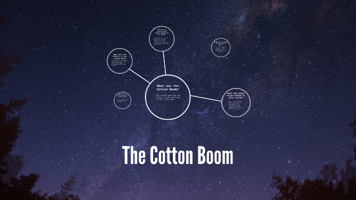 What was the Cotton Boom? by Madelyn Novick on Prezi