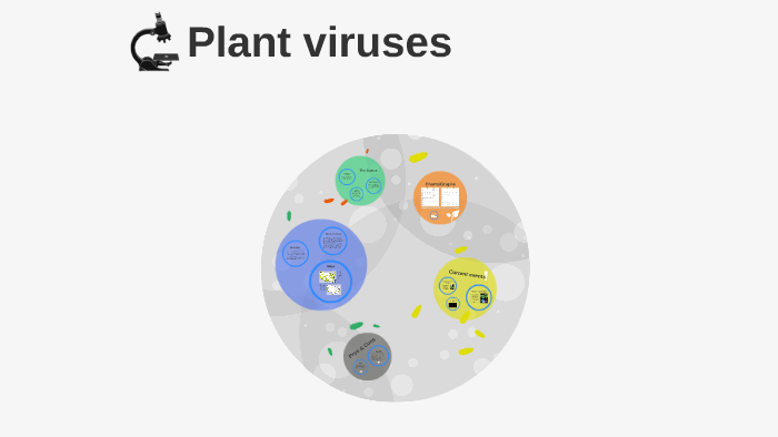 Plant viruses by Vivian Vo on Prezi