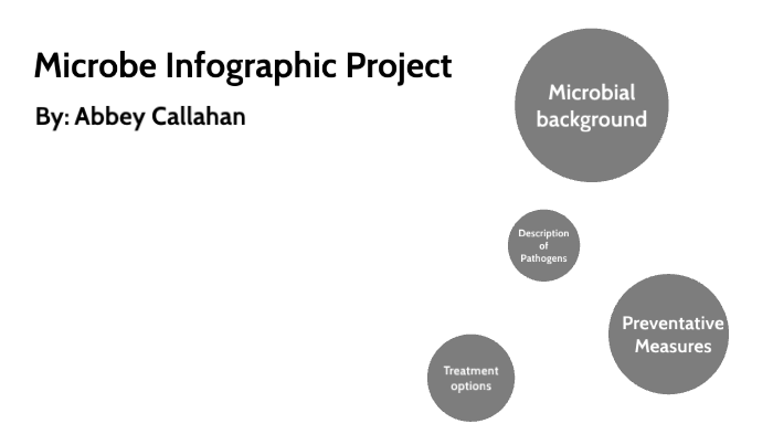 Microbe Infographic rubric by Abbey Callahan on Prezi
