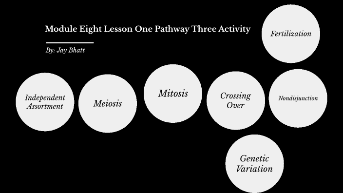 Module Eight Lesson One Pathway Three Activity by jay bhatt on Prezi
