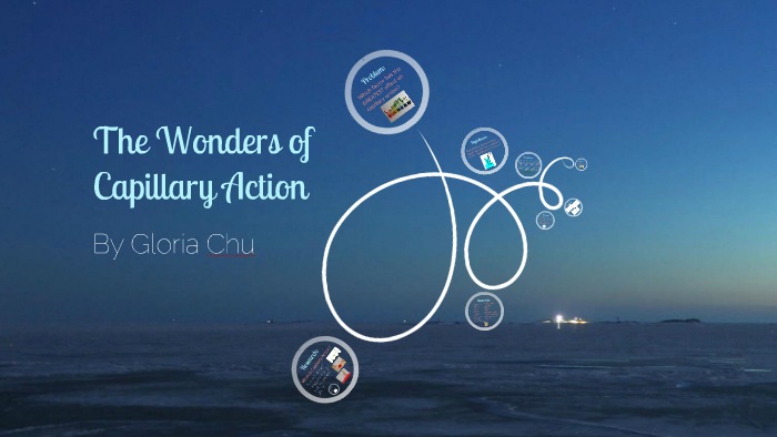 Capillary Action Lab by Gloria Chu on Prezi