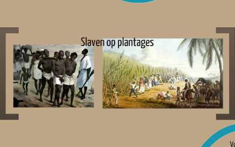 Slaven op plantages by Sanne Hermans on Prezi