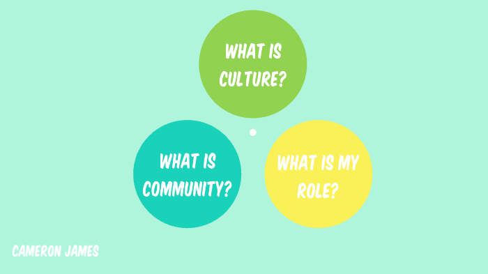 What is culture? What is community? What is my role? by cameron james ...