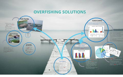 Overfishing solution by Paige Quinn on Prezi